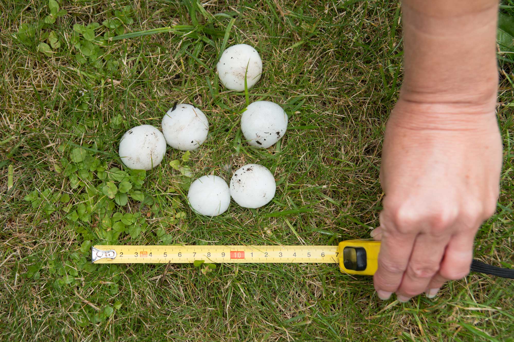 Assessing Hail Damage Tips | Integrity Roofing and Painting